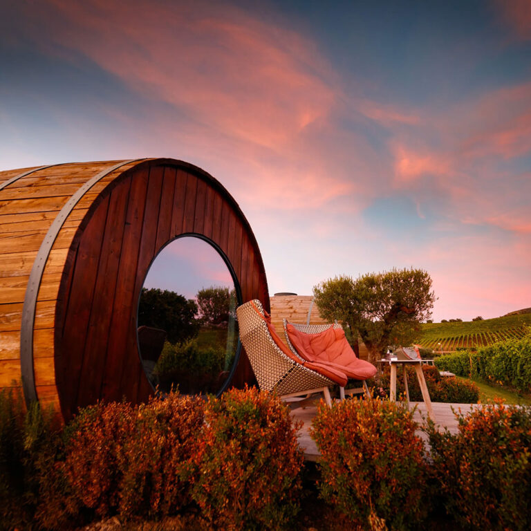 3 Must-Visit Wineries in the Douro Valley: Quinta Da Pacheca, Quinta Do ...