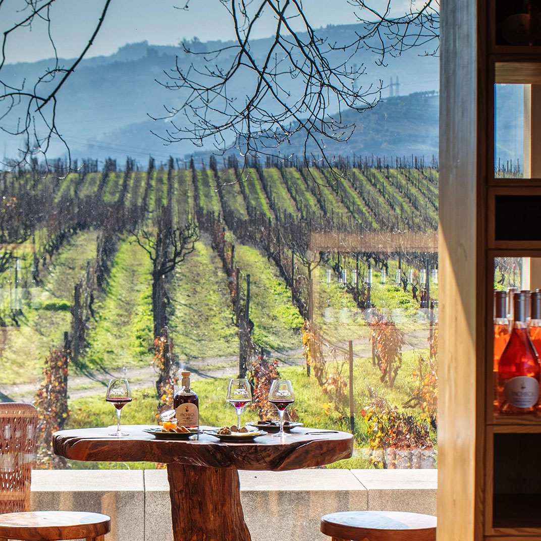 3 Must-Visit Wineries in the Douro Valley: Quinta Da Pacheca, Quinta Do ...